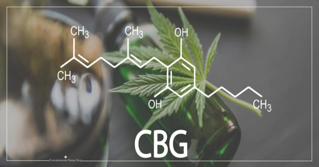 Cannabigerolo cos'è | Focus sulla cellula madre dei cannabinoidi